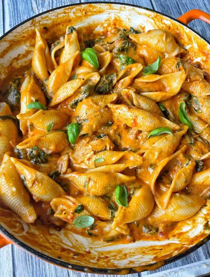 Creamy Tomato Chicken Pasta Shells - VJ Cooks
