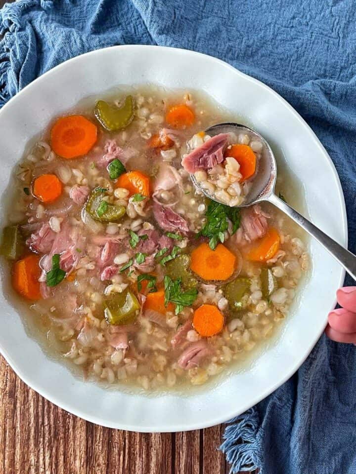 Chicken Noodle Soup - VJ Cooks