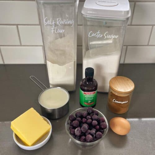 Blueberry Muffins - VJ Cooks