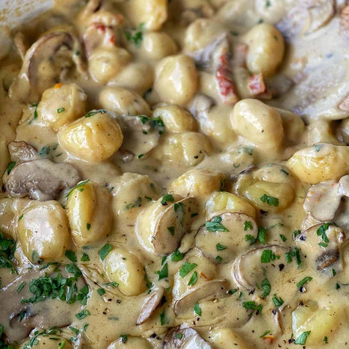 Mushroom Gnocchi One Pot - VJ Cooks