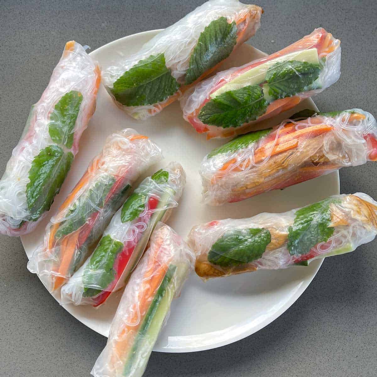 Chicken Rice Paper Rolls - VJ Cooks