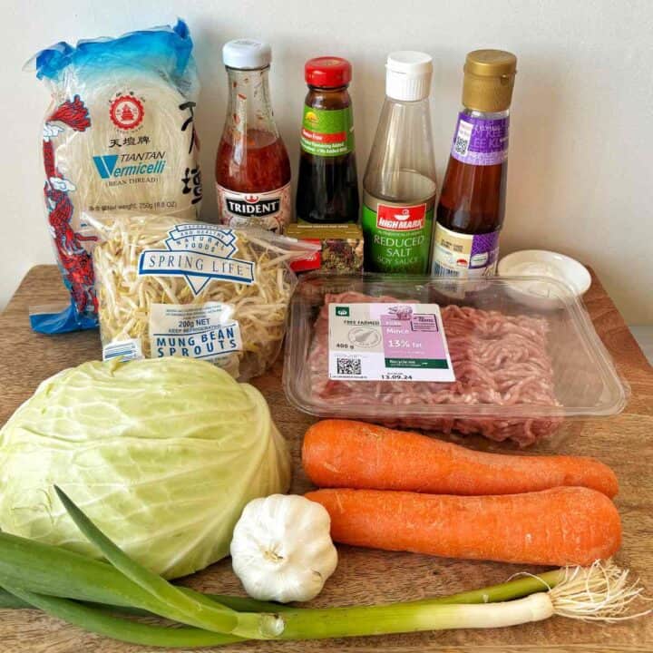 Pork Mince Spring Roll Bowls - VJ Cooks